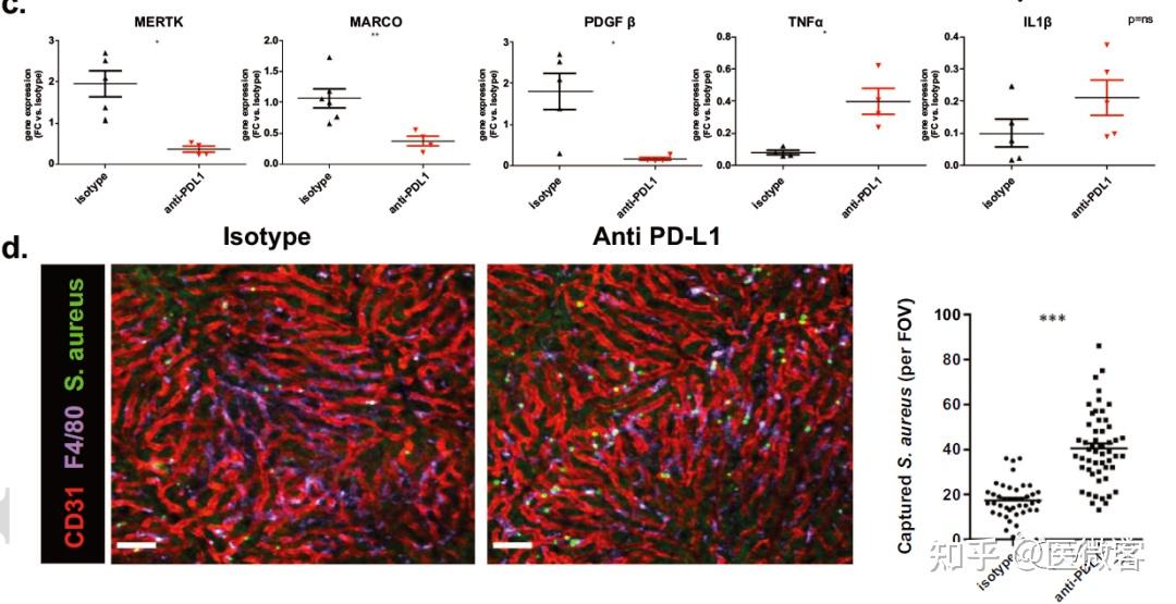 肝硬化治疗出“新招”：阻断PD-L1通路可增加肝巨噬细胞抗菌活性 - 知乎