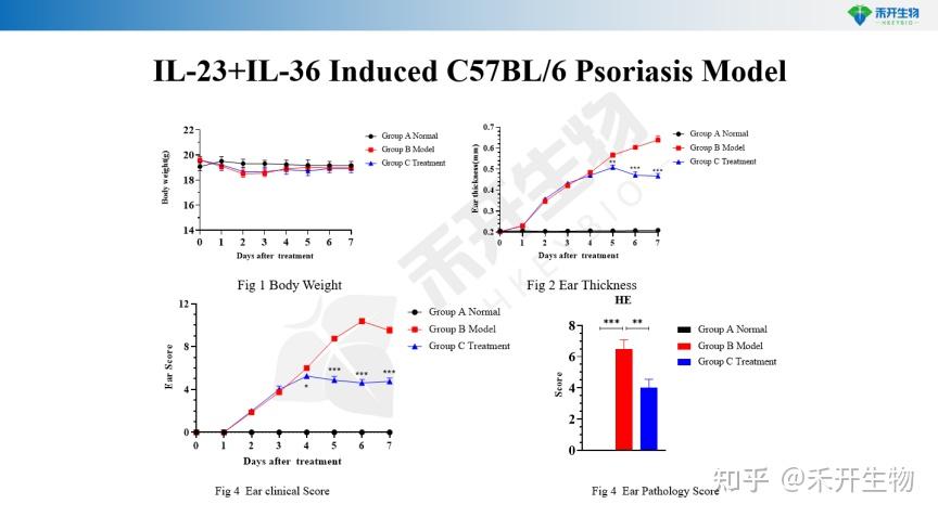 小禾说 | 自身免疫疾病靶点与模型系列(18)——IL-36R抗体：从皮肤到肠道呼吸道，适应症持续拓展 - 知乎