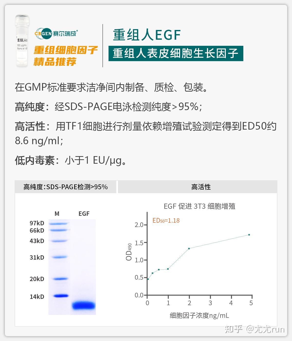 EGF(表皮生长因子)、bFGF (碱性成纤维细胞生长因子)功能介绍 - 知乎