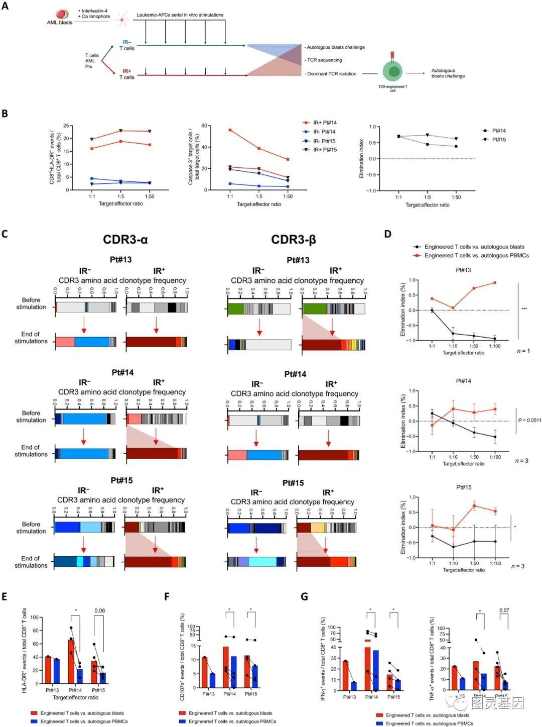 Sci Adv | 利用T细胞衰竭和红细胞增多来分离患者来源的肿瘤特异性TCR - 知乎