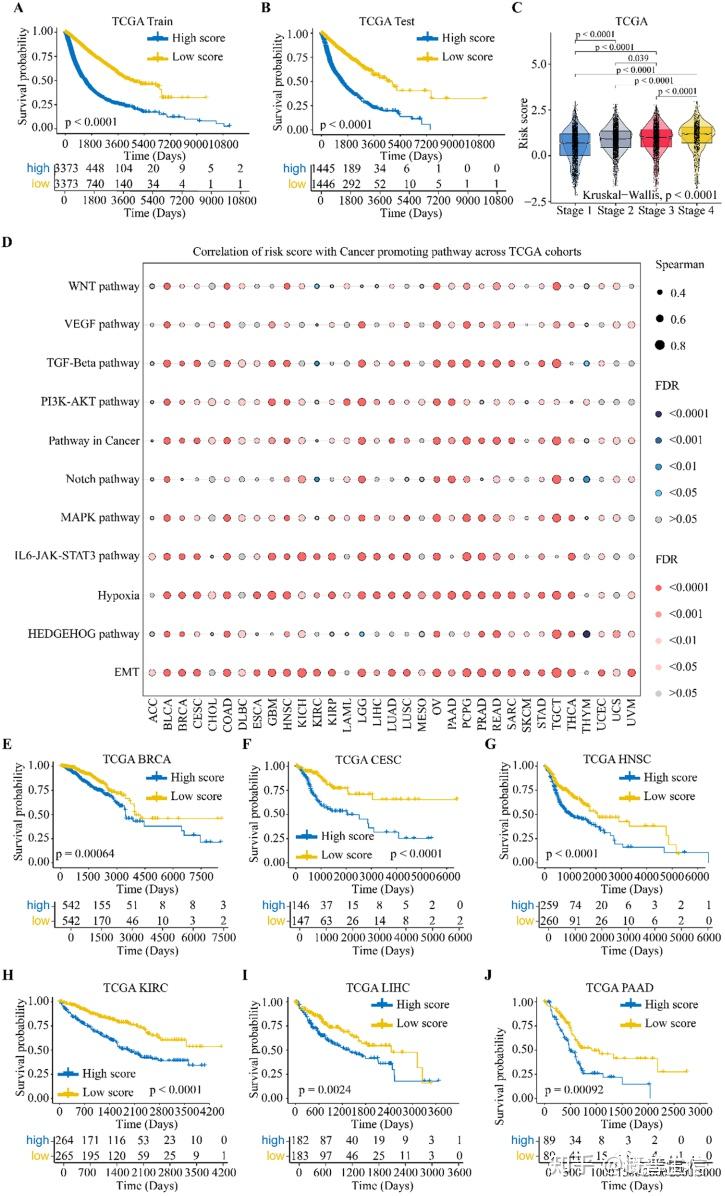 12+ 单细胞衰老泛癌分析思路推荐 - 知乎