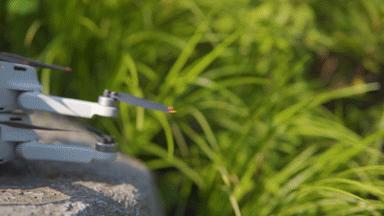 大疆Mini 2全面测评~ 画质测试、极限测试都在这里 - 知乎