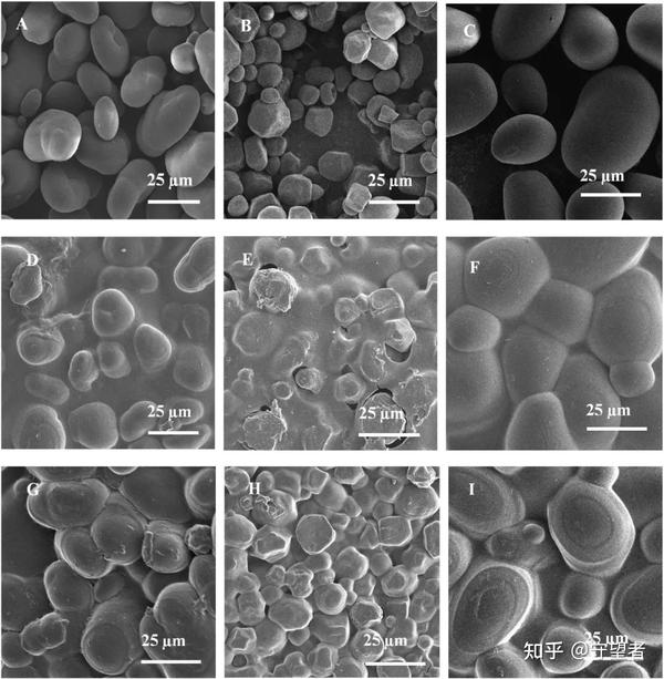 Food Hydrocolloids：被包封在壳聚糖-植酸钠胶囊中的淀粉性质和体外消化性 - 知乎