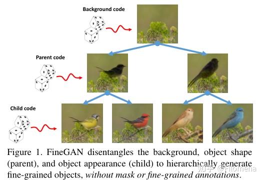 FineGAN：用于细粒度对象生成和发现的无监督分层解纠缠 - 知乎