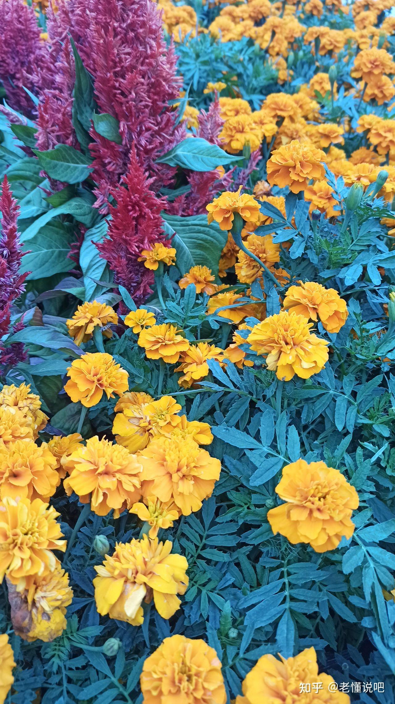 女子七。男子八。 - 知乎