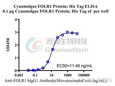 ADC领域极具潜力的抗癌靶点—FRα - 知乎