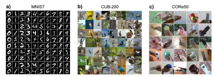连续学习中permutedmnist、splitmnist、splitcifar10、splitcifar100、core50、cub200数据集下载，及python实现连续学习
