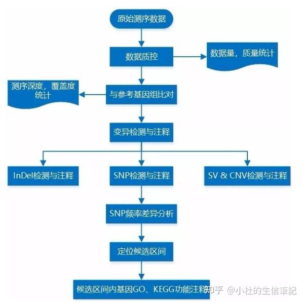 生物信息学入门实践 | 三、NGS分析流程-BSA-seq分析流程 - 知乎
