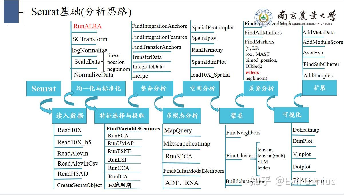 单细胞数据基础分析之seurat篇 - 知乎