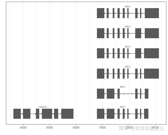 R语言可视化展示gff3格式基因组注释文件简单小例子 - 知乎