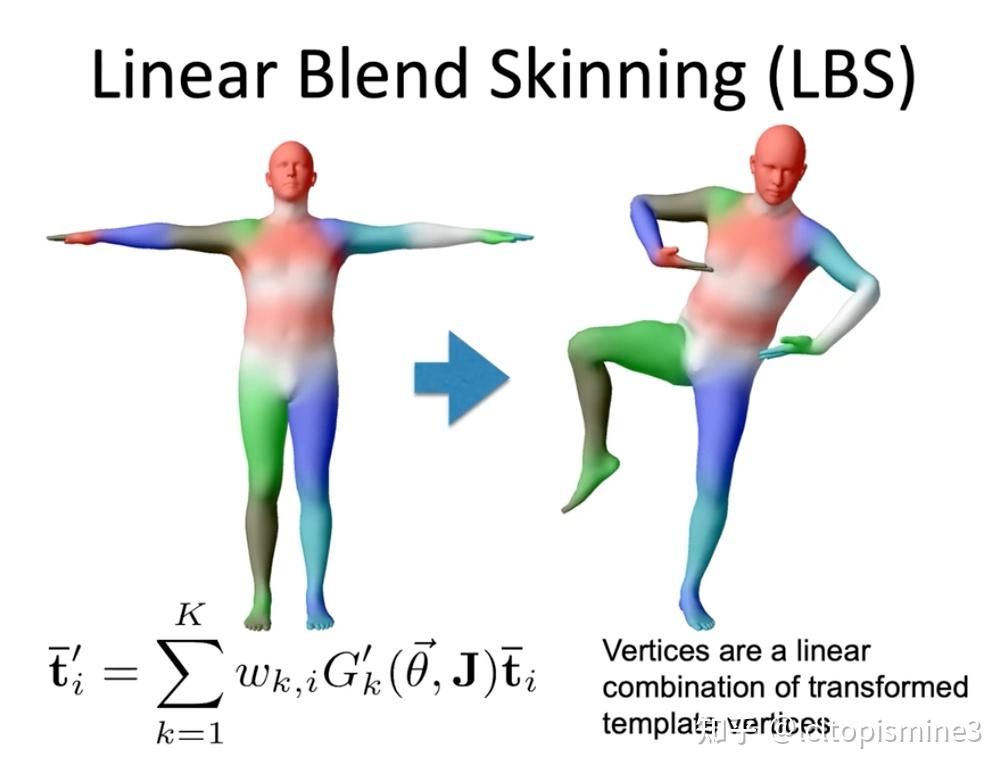 虚拟人（SMPL） CVPR 教程专项一：SMPL的介绍、历史与基础 - 知乎
