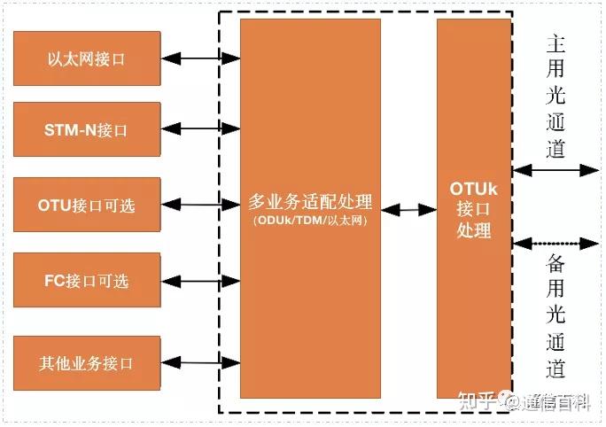 到底CPE OTN是什么？ - 知乎