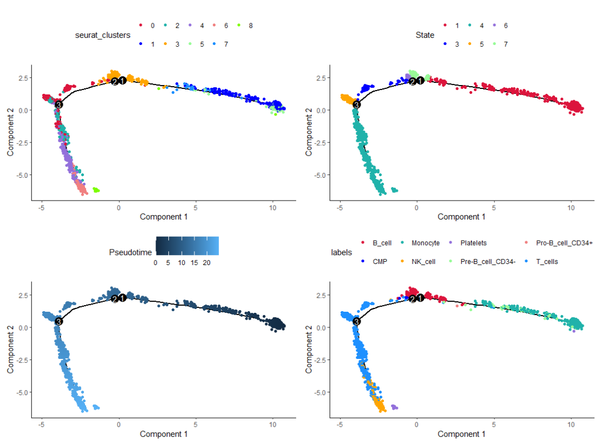 跟着NC学pseudotime| monocle2 拟时序分析 + 树形图 - 知乎