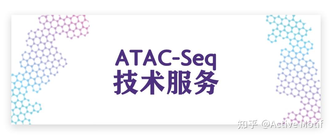 什么是ATAC-Seq？实验原理？最新应用和突破？看完这篇秒懂！ - 知乎