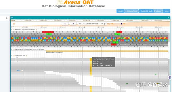 燕麦基因组浏览器Jbrowse2的在线使用 - 知乎