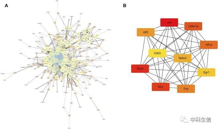 4+ 非常经典的hub基因鉴定路线 - 知乎