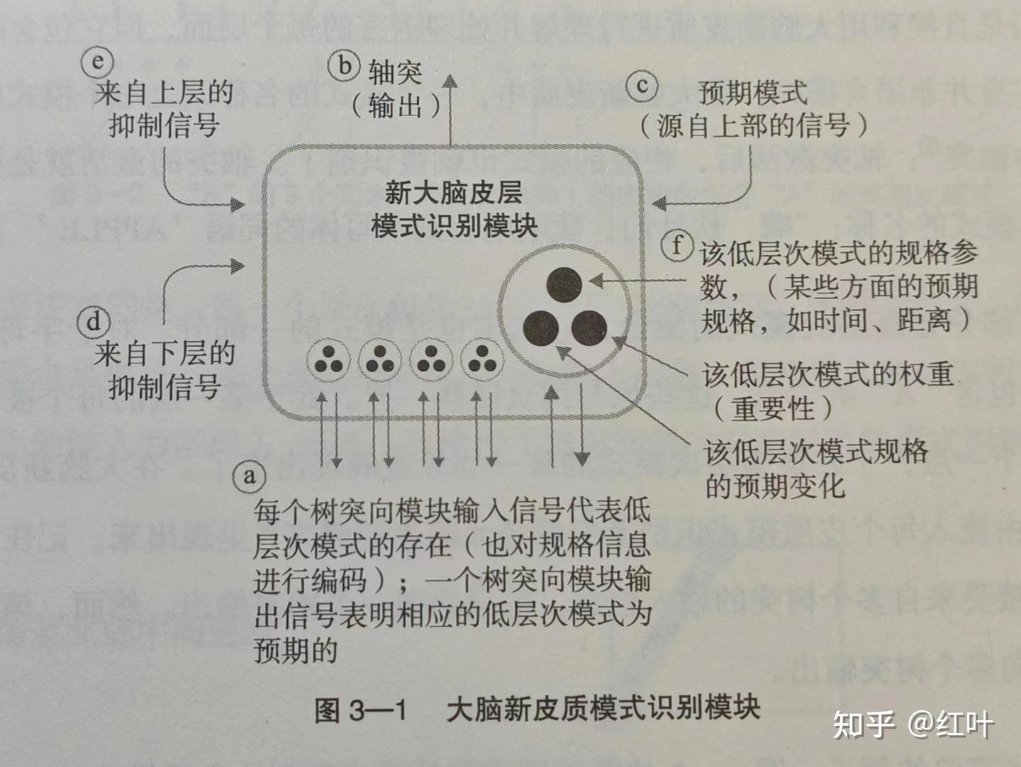 Upload Intelligence——如何创造思维 - 知乎