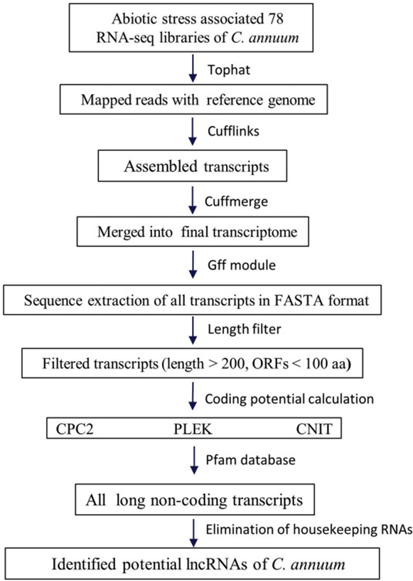 lncRNA鉴定方法整理 - 知乎