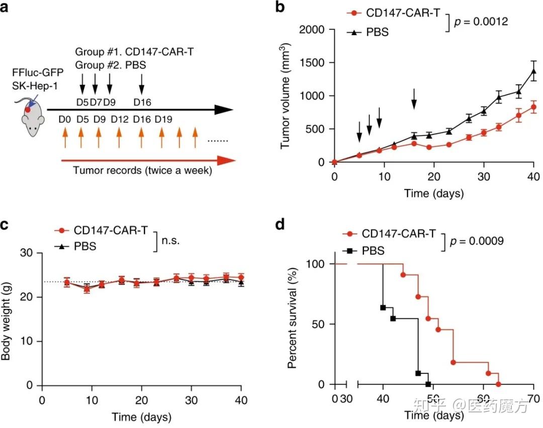 肝癌治疗新进展！CD147 CAR-NK：显示有效抗肿瘤活性 - 知乎