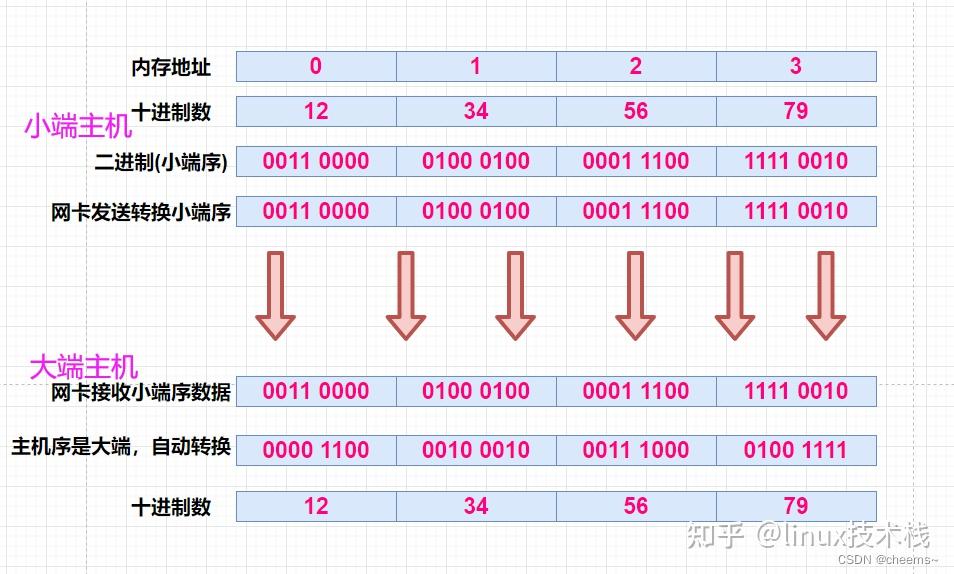 一文带你秒懂 字节序(byte order)，比特序(bit order)，位域(bit field) - 知乎