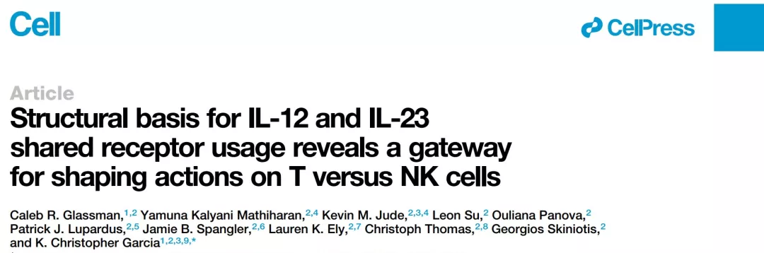 突破IL-12治疗瓶颈，独特结构带来肿瘤免疫治疗新策略 - 知乎