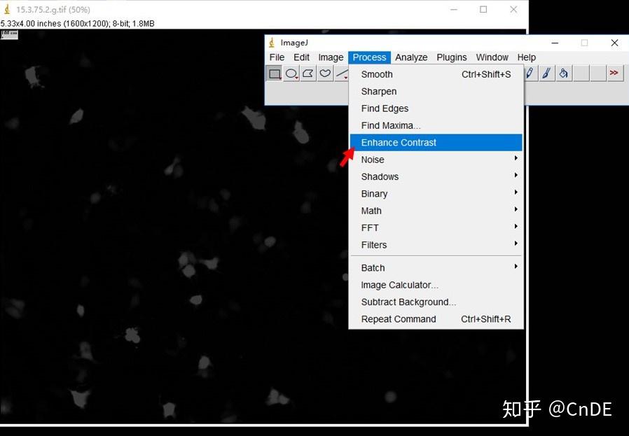 【ImageJ】荧光细胞计数方法 - 知乎