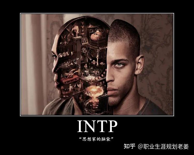 详解16型人格——INTP（思绪飞扬的学者） - 知乎