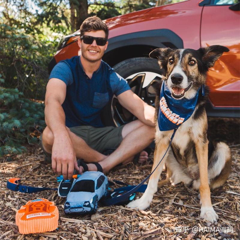 海外网红营销：宠物品牌Barkbox如何靠“盲盒打法”玩转海外营销？ - 知乎