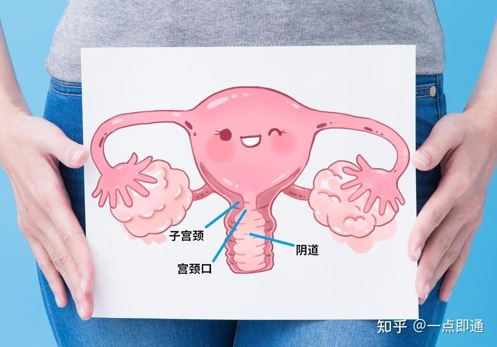宫颈检查多久做一次？医生：若出现3个现象，应尽快检查 知乎
