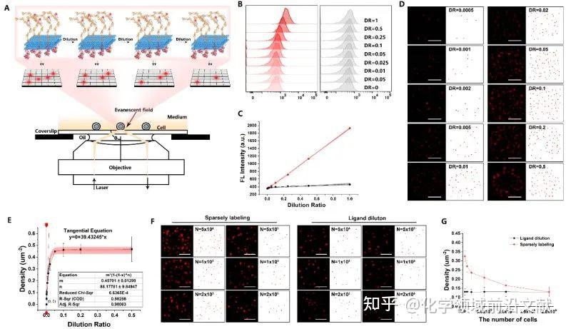 湖南大学谭蔚泓/吕一帆Angew：基于单分子定位和随机取样的配体稀释技术用于细胞膜受体分析 - 知乎
