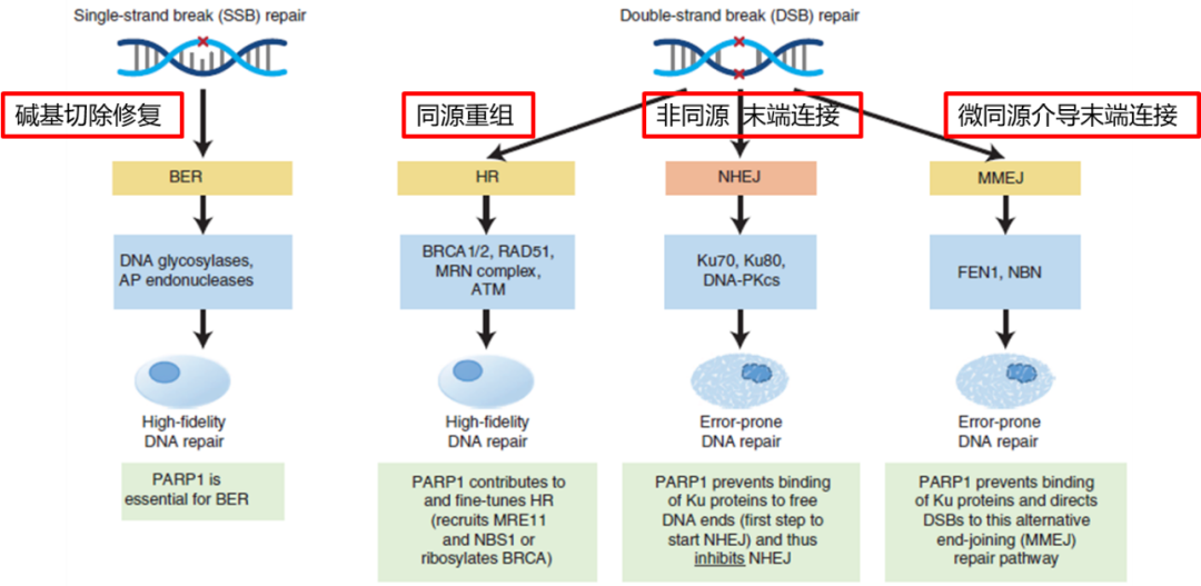 干货满满 | 傻傻分不清楚HRR、HRD、GS到底是什么关系？ - 知乎