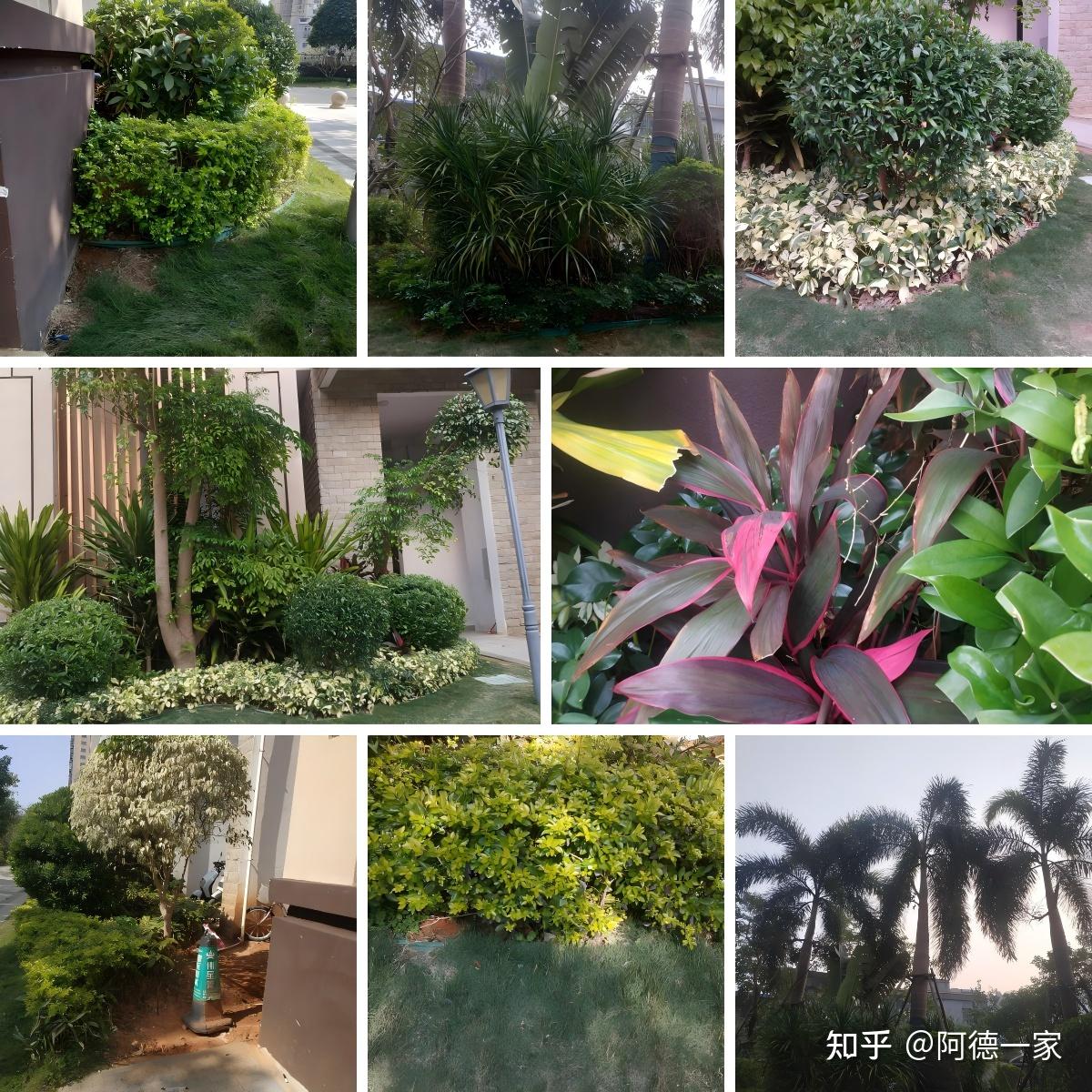 2025寒假计划大翻车？虽然没全完成，但也有所收获！ - 知乎