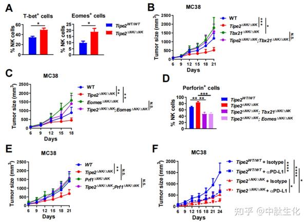 Advanced Science：田志刚院士团队揭示NK细胞辅助功能的调控机制 - 知乎