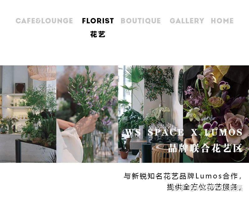 WS SPACE 無•集 | 一个懂你的美学空间 - 知乎