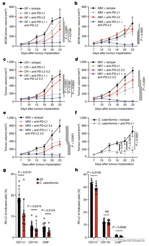 Nature|靶向PD-L2–RGMb克服微生物组相关免疫疗法耐药性 - 知乎