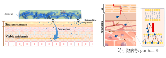Puriactives® 舒肤因®（玻色因纳米凝胶） - 知乎