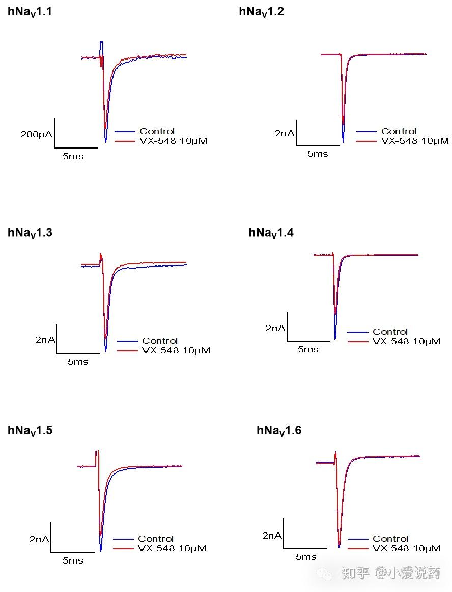 离子通道研究案例分享: VX-548的体外研究 - 知乎