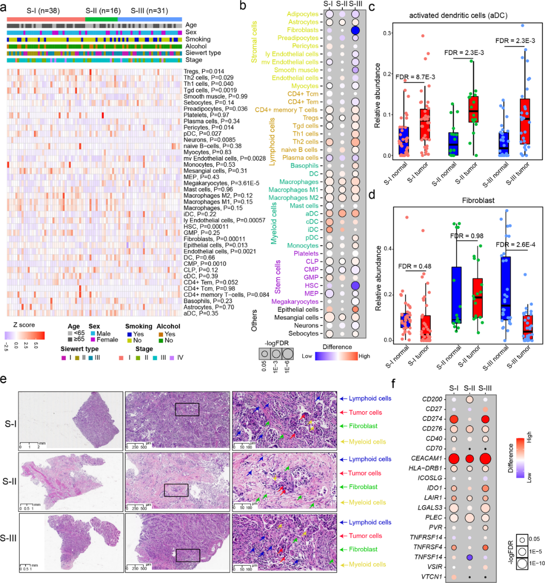 Nat Commun｜多组学揭示食管胃交界处腺癌(AEG)的三种蛋白质组学亚型及潜在的可药物化靶点 - 知乎