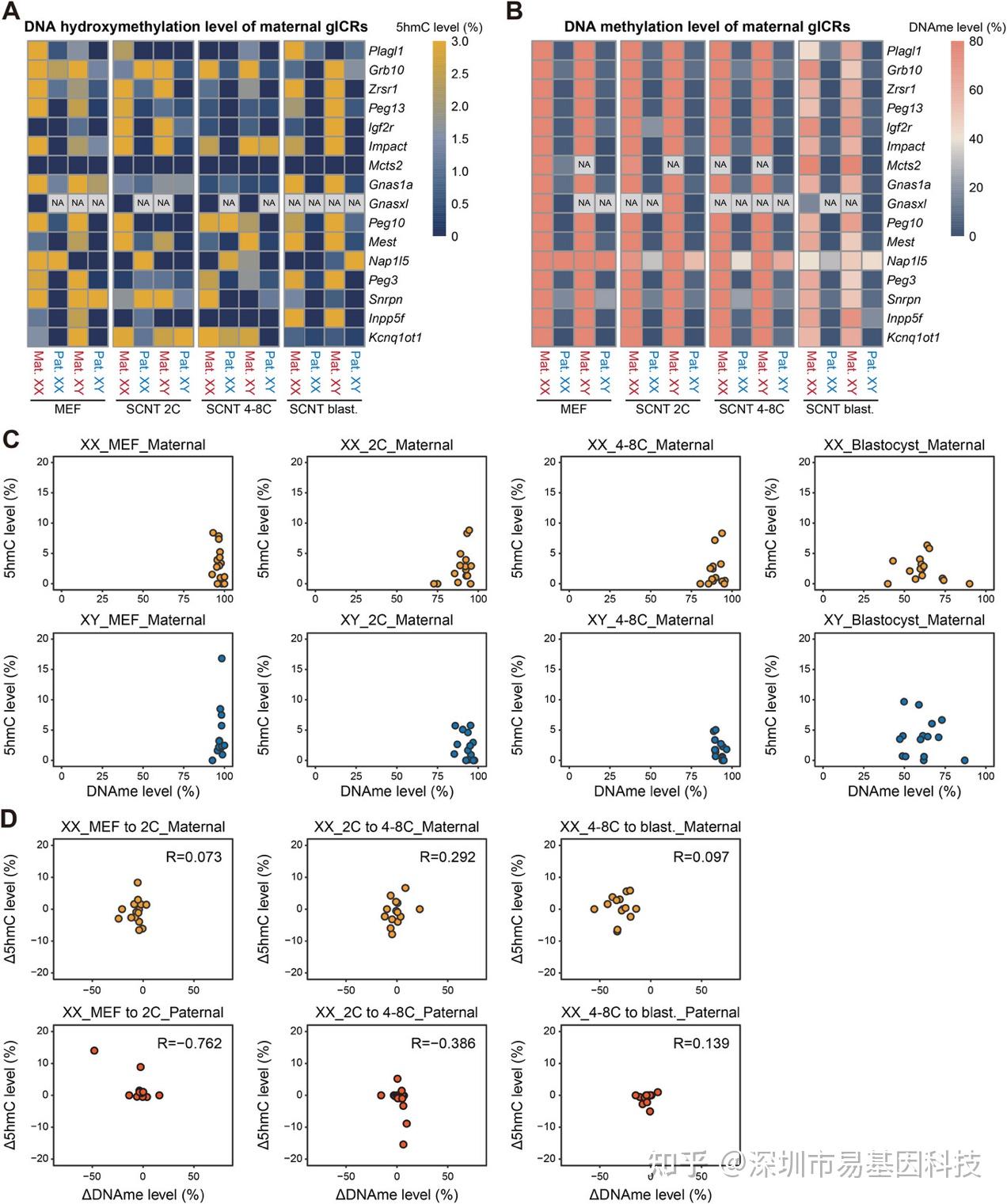 易基因：Adv Sci/IF14.1：中科院动物所郭帆团队等表观多组学揭示克隆胚胎DNA羟甲基化动态及功能 解析体细胞重编程障碍机制 - 深圳市易基因科技 - 博客园