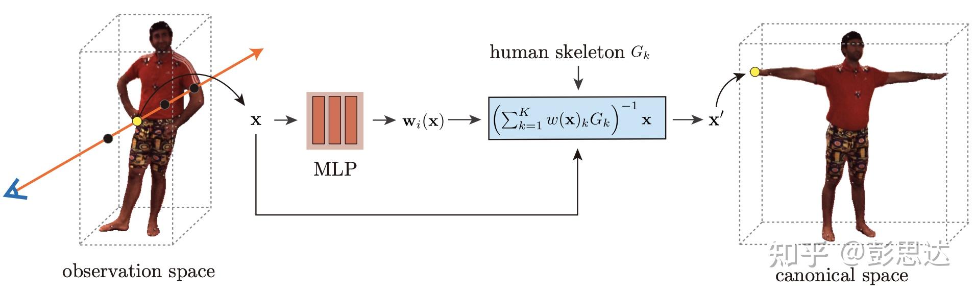 浙大三维视觉团队提出Animatable NeRF，从RGB视频中重建可驱动人体模型 (ICCV'21) - 知乎
