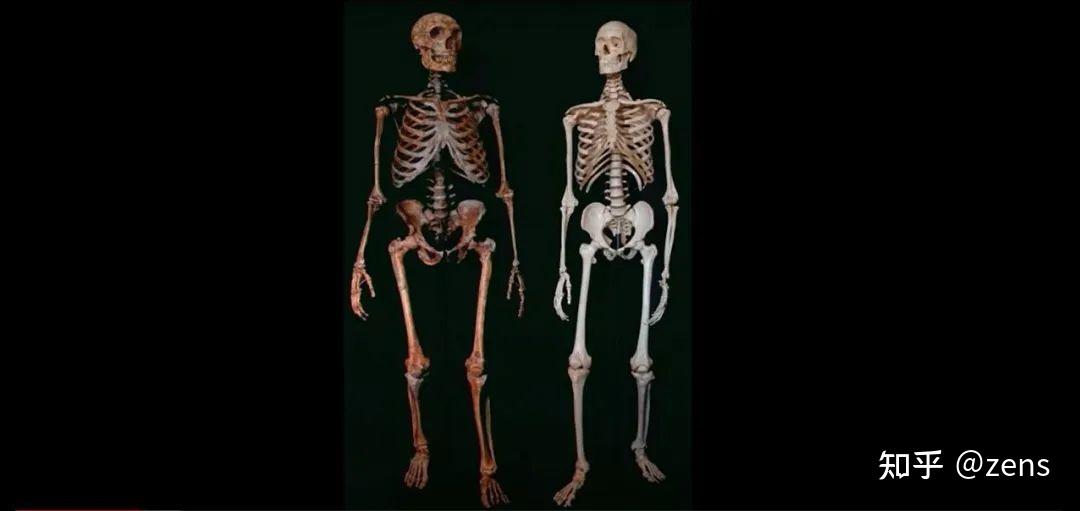 流浪地球：4.5万年前保加利亚Bacho Kiro洞穴古人类，来自亚洲 - 知乎