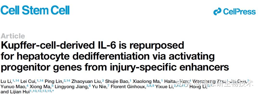 Cell Stem Cell | 惠利健等揭示体内IL-6通过损伤特异的转录调控诱导肝细胞去分化 - 知乎