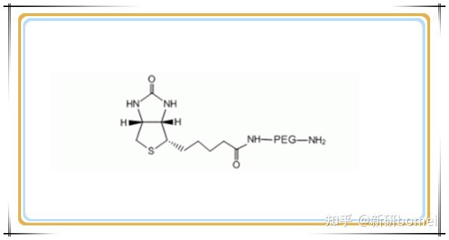 Biotin-PEG-NH2,Biotin-PEG-amine,生物素-PEG-氨基用于材料改性 - 知乎