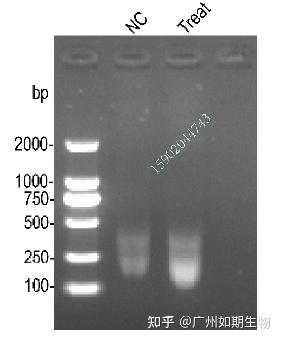 Merip-qPCR&merip-seq 实验步骤（甲基化RNA免疫共沉淀） - 知乎