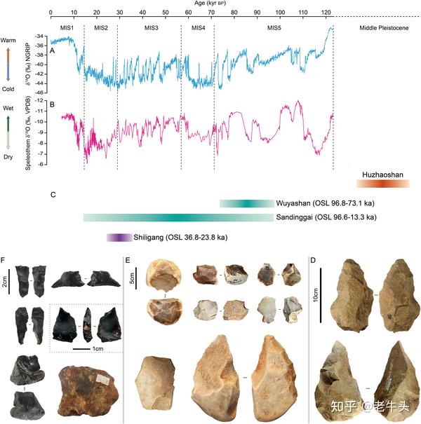 古生物新闻（2022年11月7日-11月20日） - 知乎