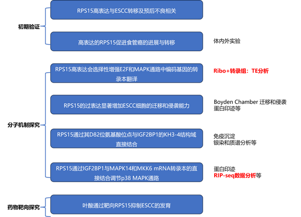 翻译组测序揭示核糖体蛋白RPS15可作为食管癌中潜在治疗靶点 - 知乎