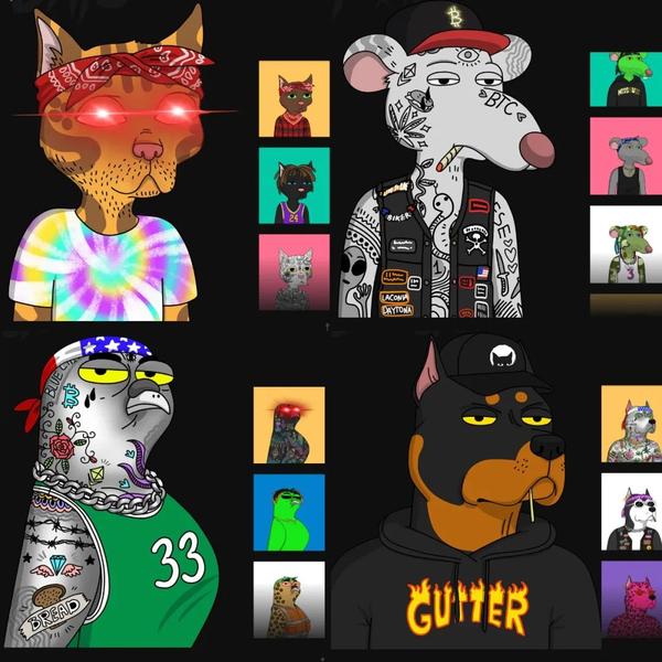 猫帮派 GCG 持续创新 NFT 系列 - 知乎