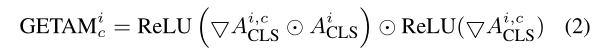【论文阅读】《GETAM: Gradient-weighted Element-wise Transformer Attention Map for WSSS》 - 知乎