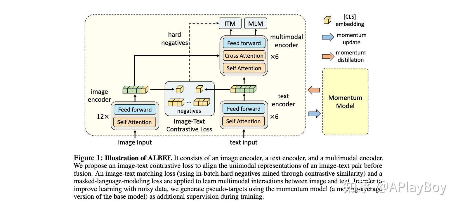 一文搞懂多模态：14个多模态模型+4个周边原理解读（上） - 知乎
