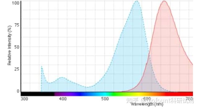 Snarf-1,AM；细胞内pH指示剂 - 知乎